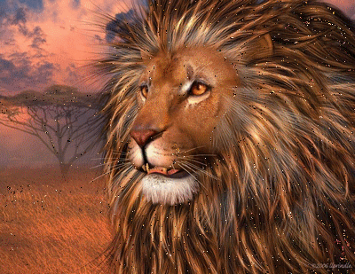 Download Animal Lion Gif