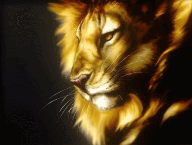 Download Animal Lion Gif