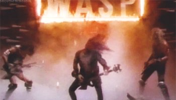 Wasp Gifs: Free Download [60+]