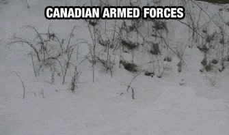 Military Gifs: Free Download [210+]