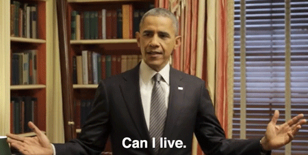 Download United States American President USA Celebrity Barack Obama ...