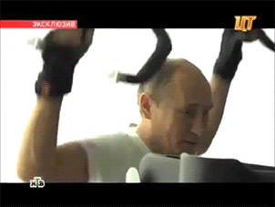 Download President Russia Celebrity Vladimir Putin Gif - Gif Abyss