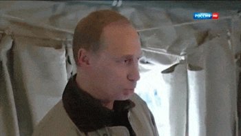 Download President Russia Celebrity Vladimir Putin Gif