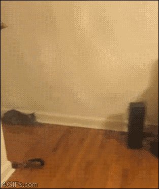 Floor Gifs