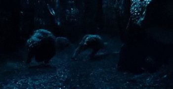 Download Werewolf Dark Movie Underworld Gif