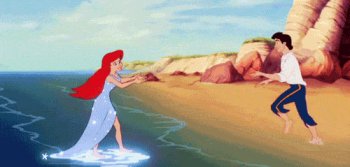 Shore Gifs