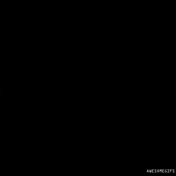 Pink Floyd Gifs: Free Download [330+]
