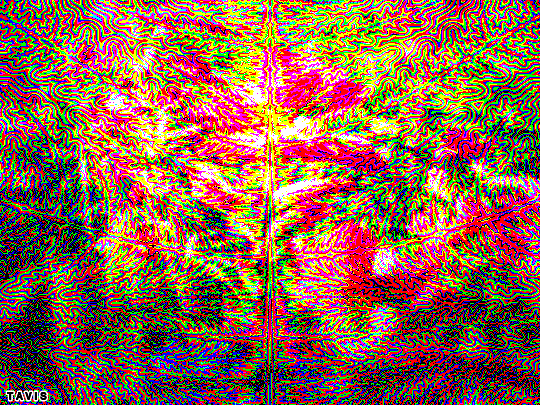 Fractal Gif - Gif Abyss