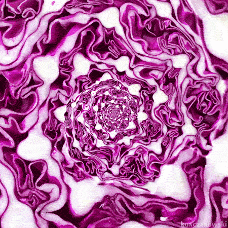 Download Pattern CGI Abstract Fractal Gif