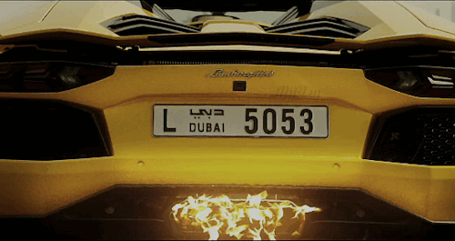 Lamborghini Gif - Gif Abyss